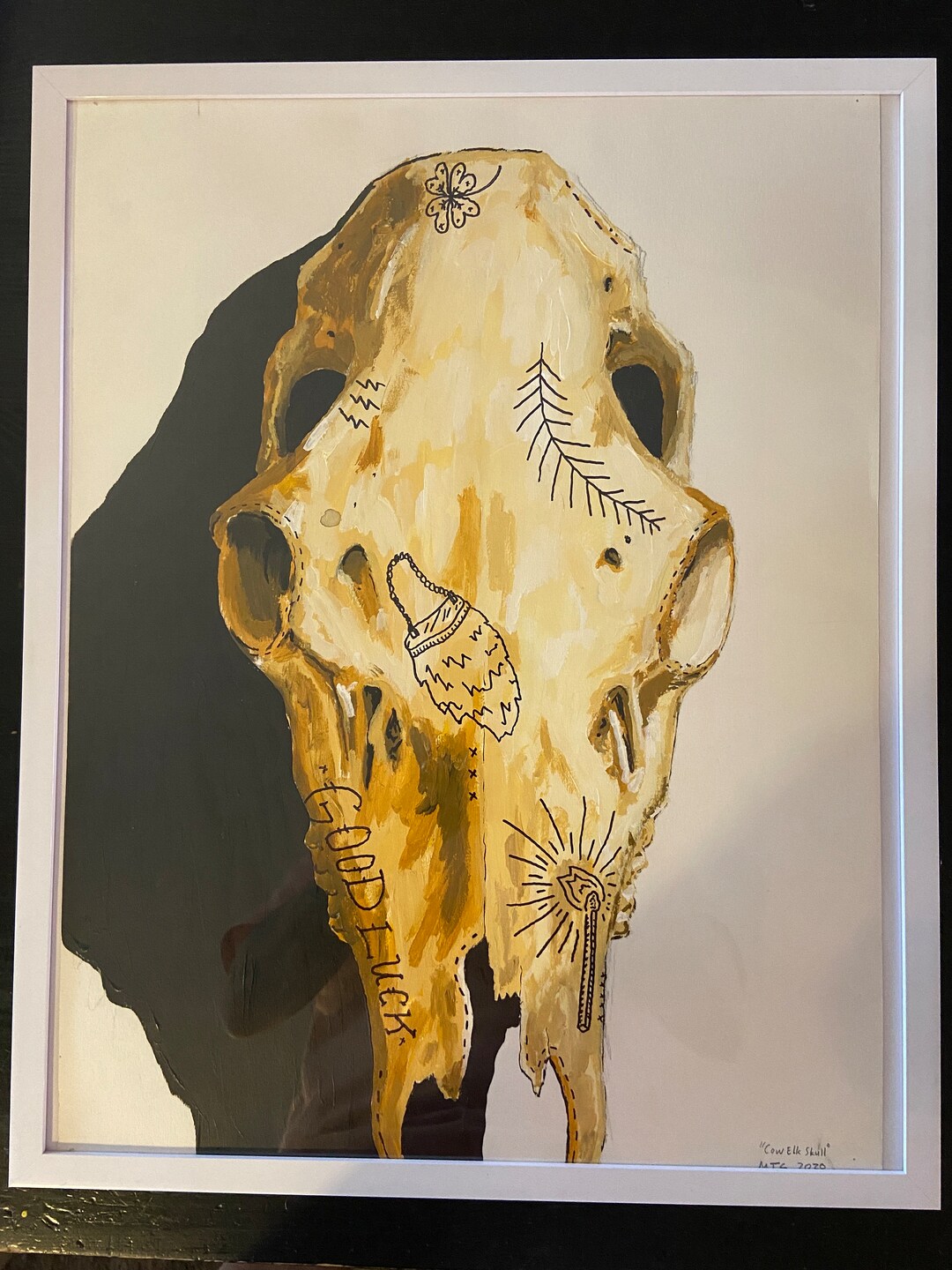 Cow Elk Skull - Etsy