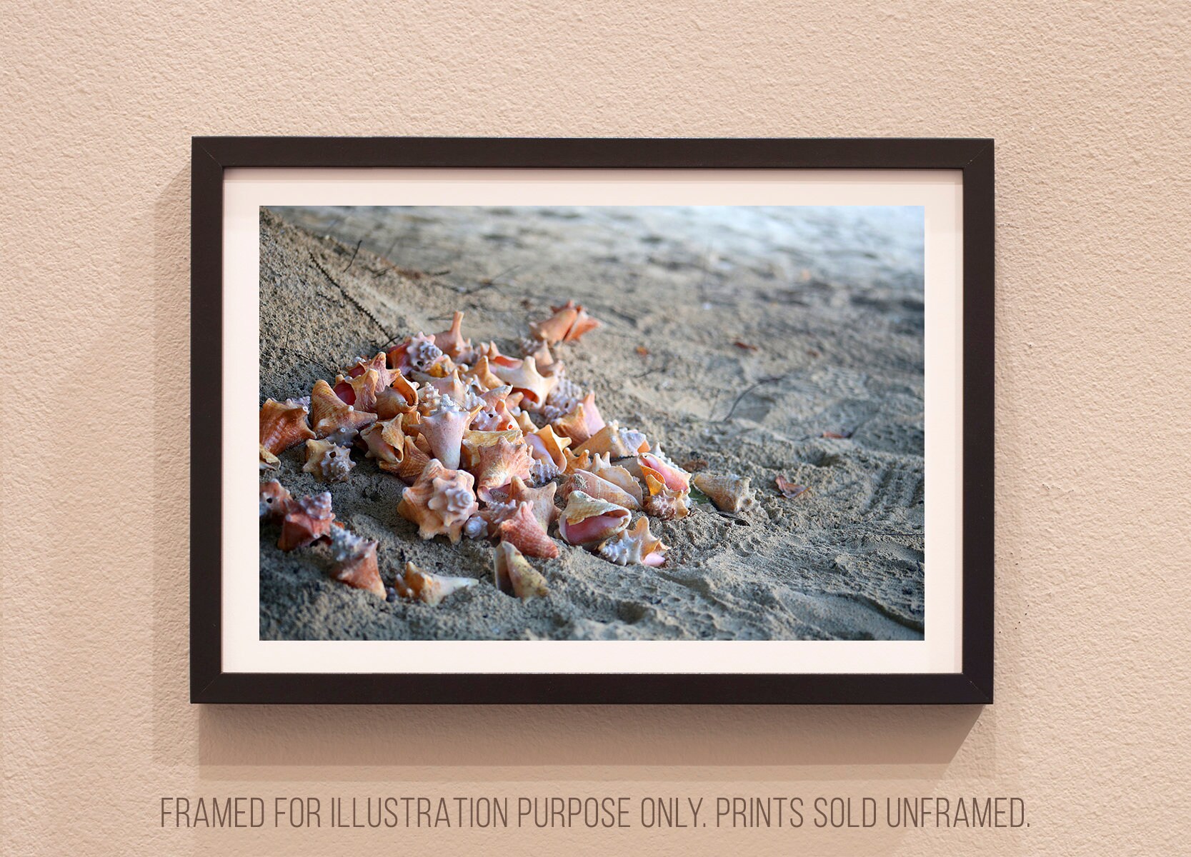 Photo Print Jamaica Conch Shells Caribbean Island Negril | Etsy
