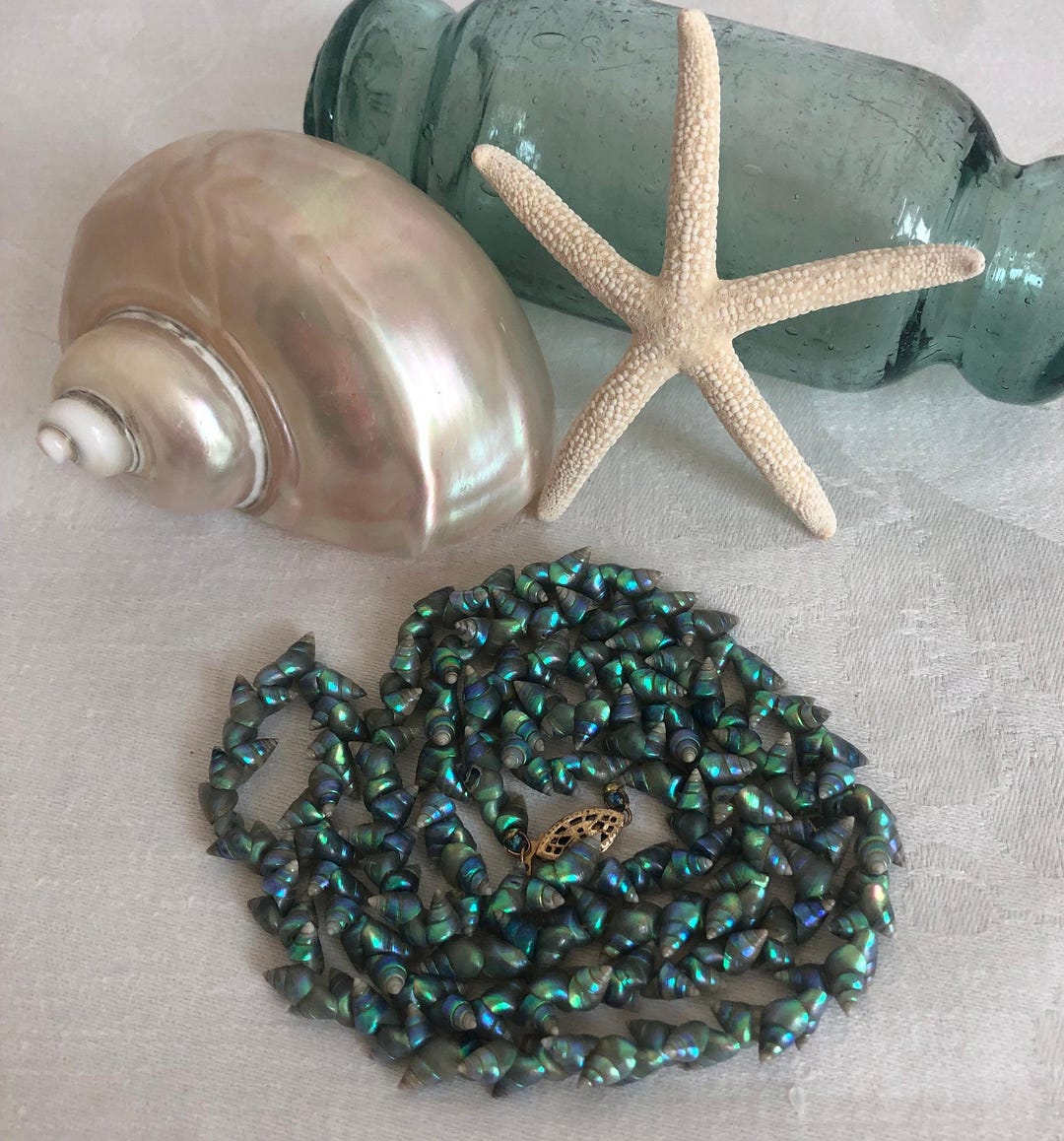 Vintage Australian Tasmanian Aboriginal Maireener Iridescent Sea Shell ...