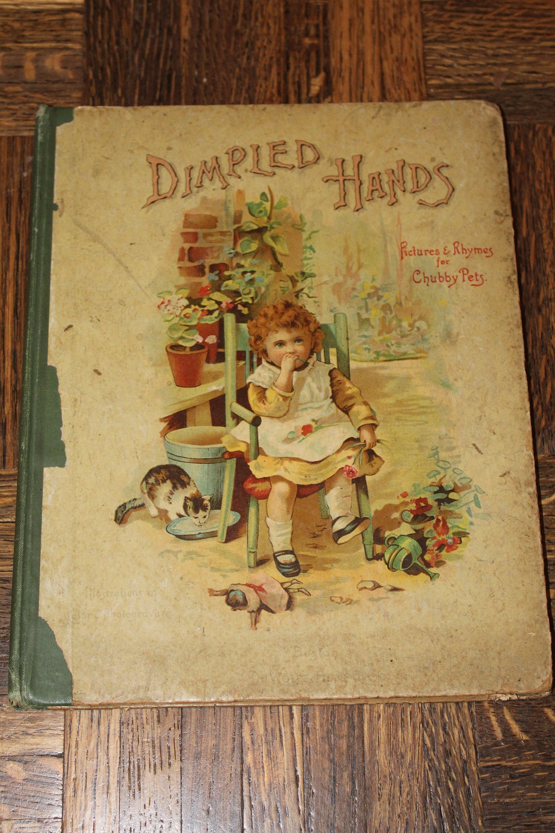 Dimpled Hand's Pictures and Rhymes for Chubby Pets Antique Books - Etsy