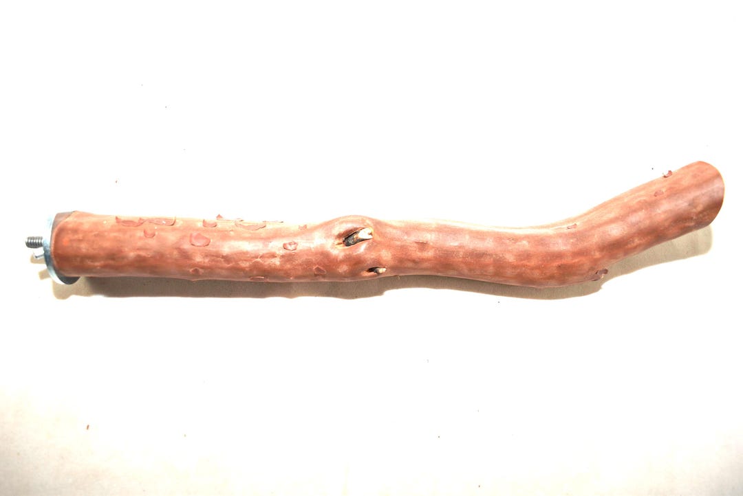 Sale!*manzanita Bird Perch Single Branch With Hardware * Lucky Birds - Etsy