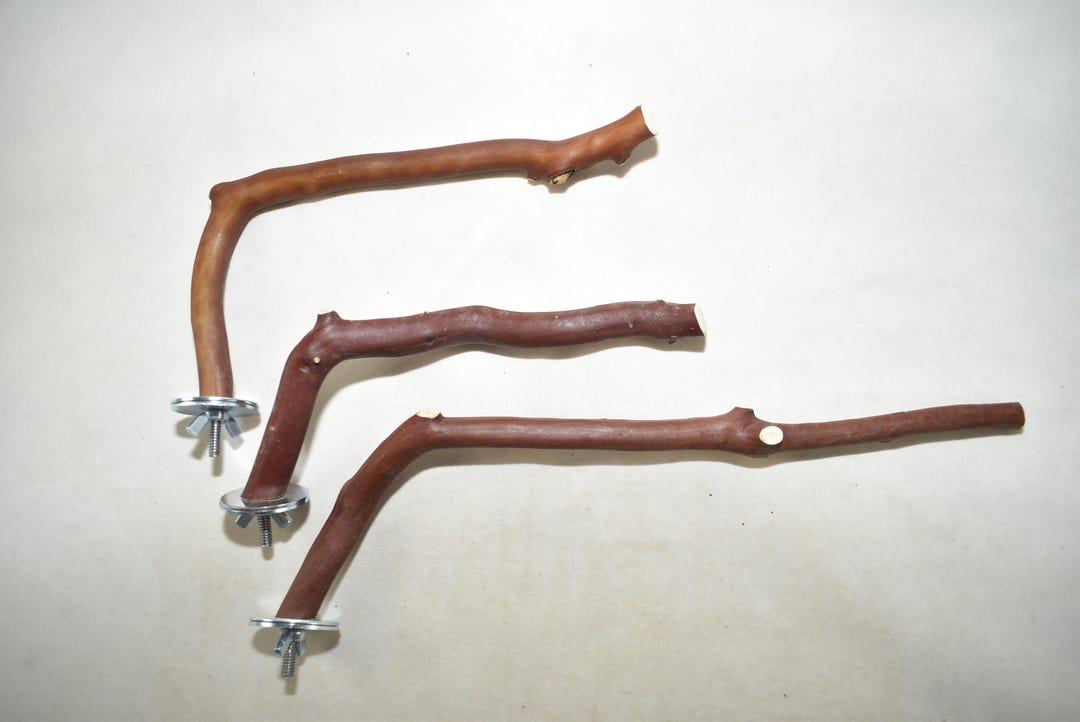 Manzanita Bird Perches Cage Top Single Branch Set of Three With ...