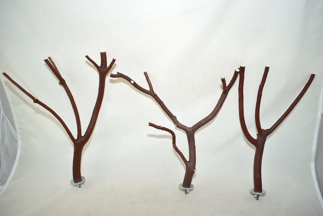 Manzanita Bird Perches Multibranch Set of 3 With Hardware * Smooth Bark ...