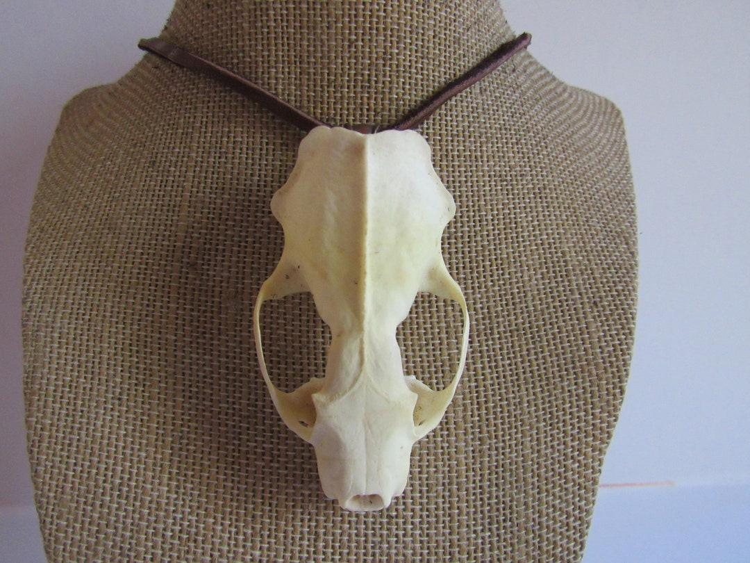 Mink Skull Top Necklace Bone Leather Jewelry Tribal Unique Animal Bone ...