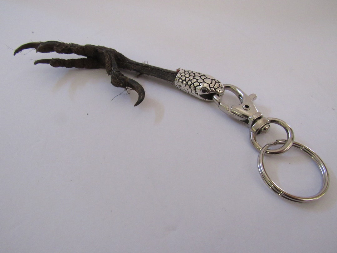 Real Crow Foot/talon Claw Snake Keychain Bird Feet Animal Bone Jewelry ...