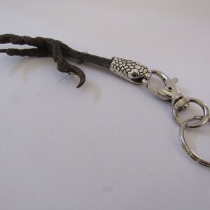 Real Crow Foot/talon Claw Snake Keychain Bird Feet Animal Bone Jewelry ...