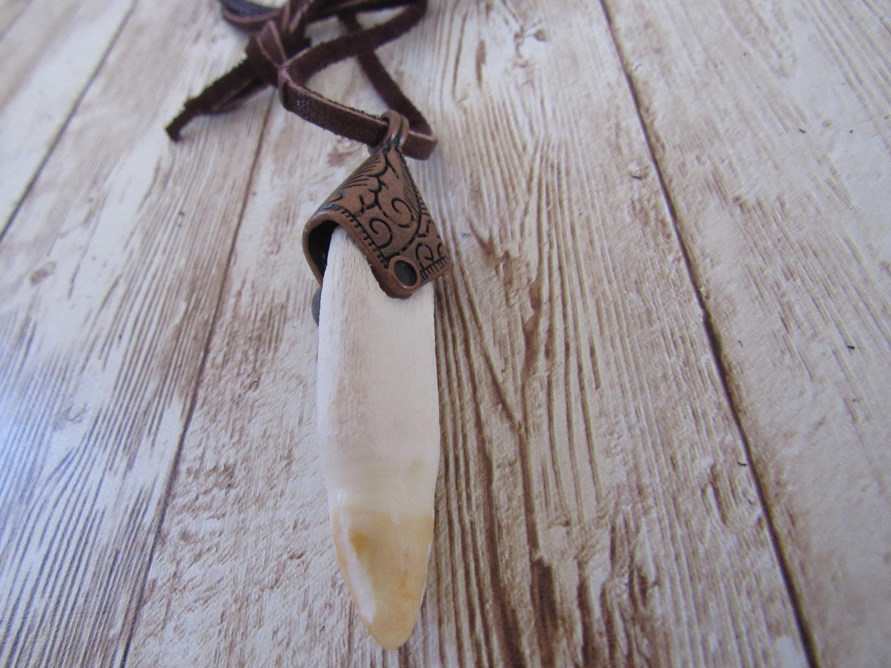 Alligator Tooth Gator Pendant Animal Bone Leather Necklace Jewelry ...