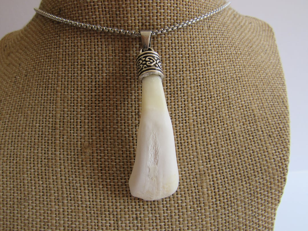 Buffalo Tooth Pendant Animal Tooth Necklace Tribal Spirit Animal ...