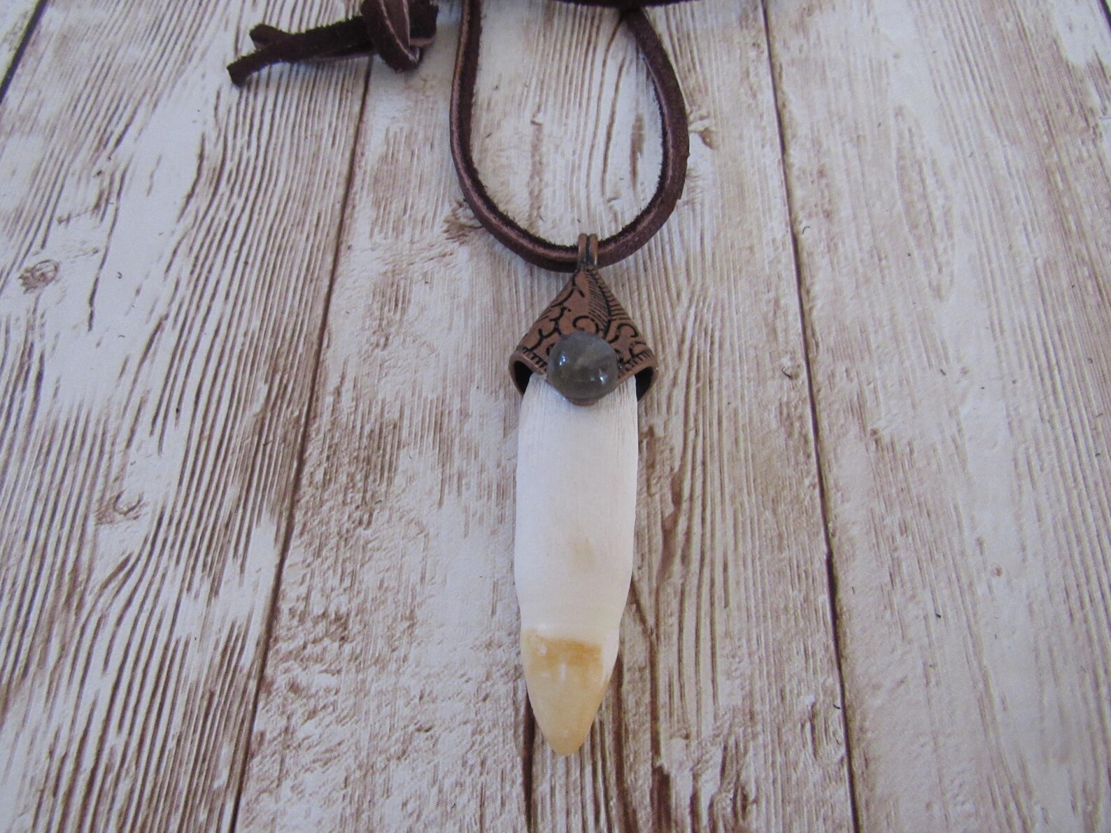 Alligator Tooth Gator Pendant Animal Bone Leather Necklace Jewelry ...