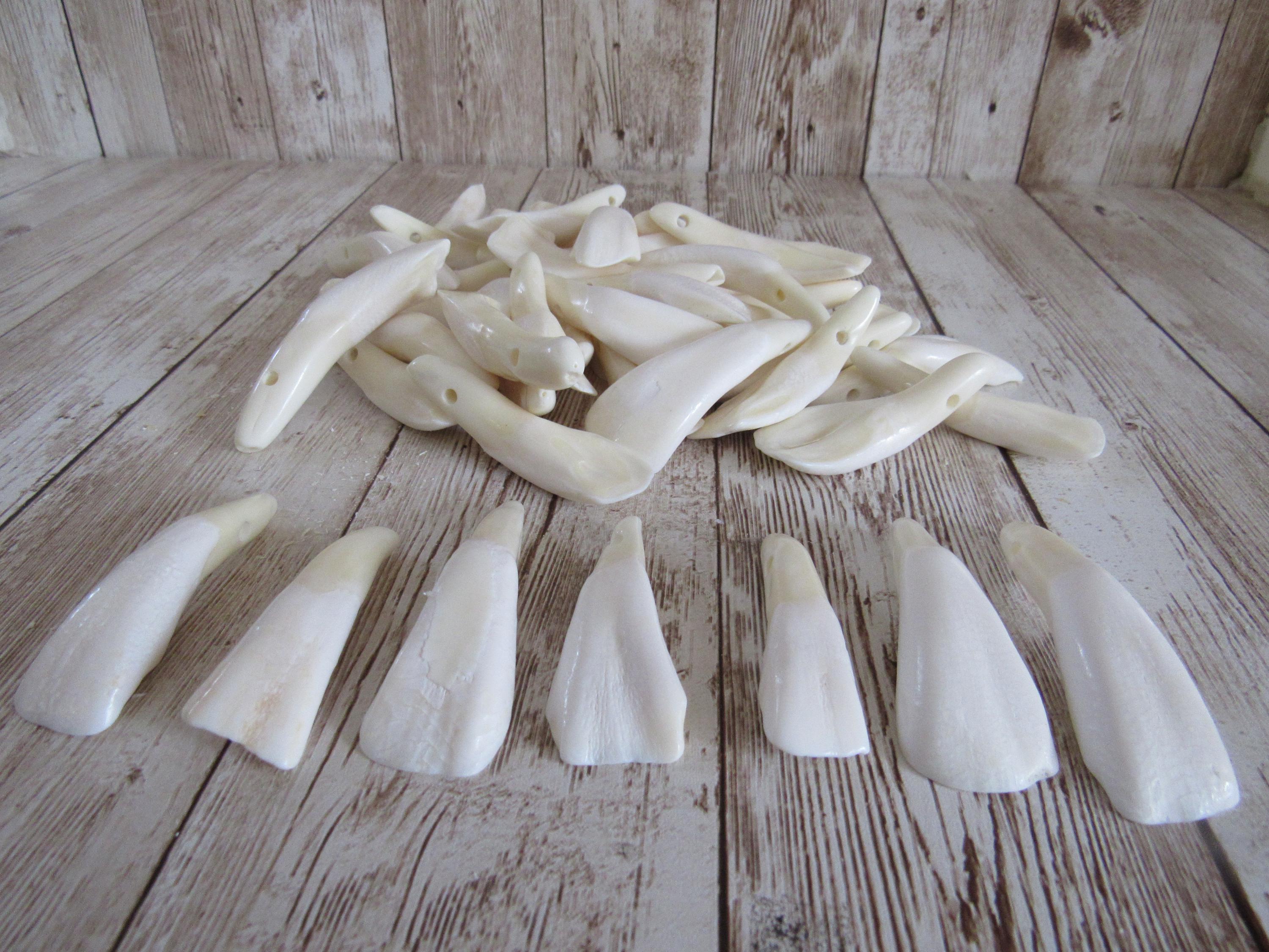 10 Buffalo Teeth Pre Drilled Ready for Jewelry and Craft Projects - Etsy