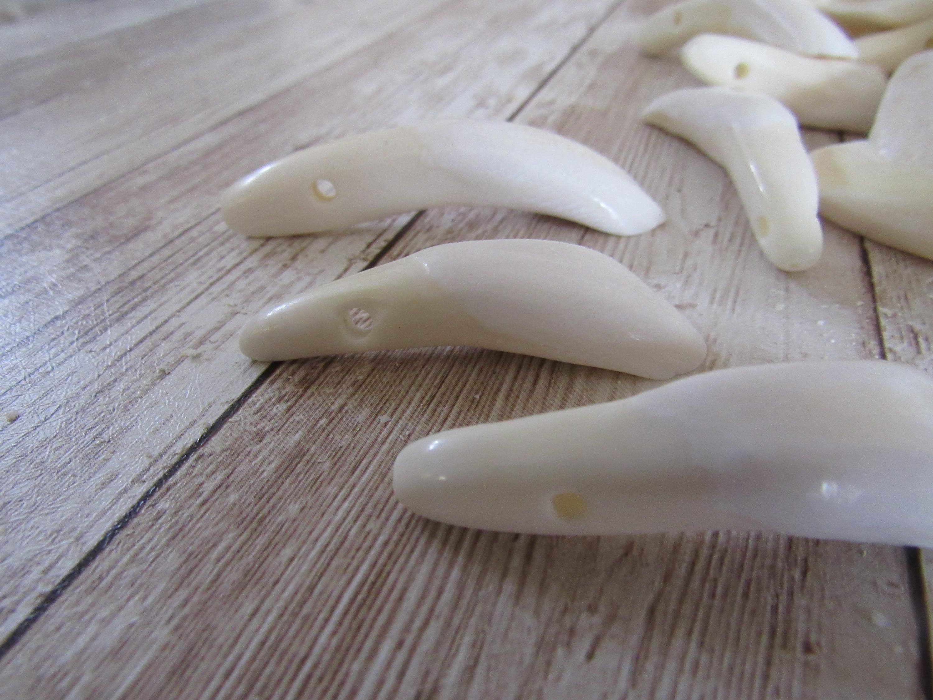 10 Buffalo Teeth Pre Drilled Ready for Jewelry and Craft Projects - Etsy
