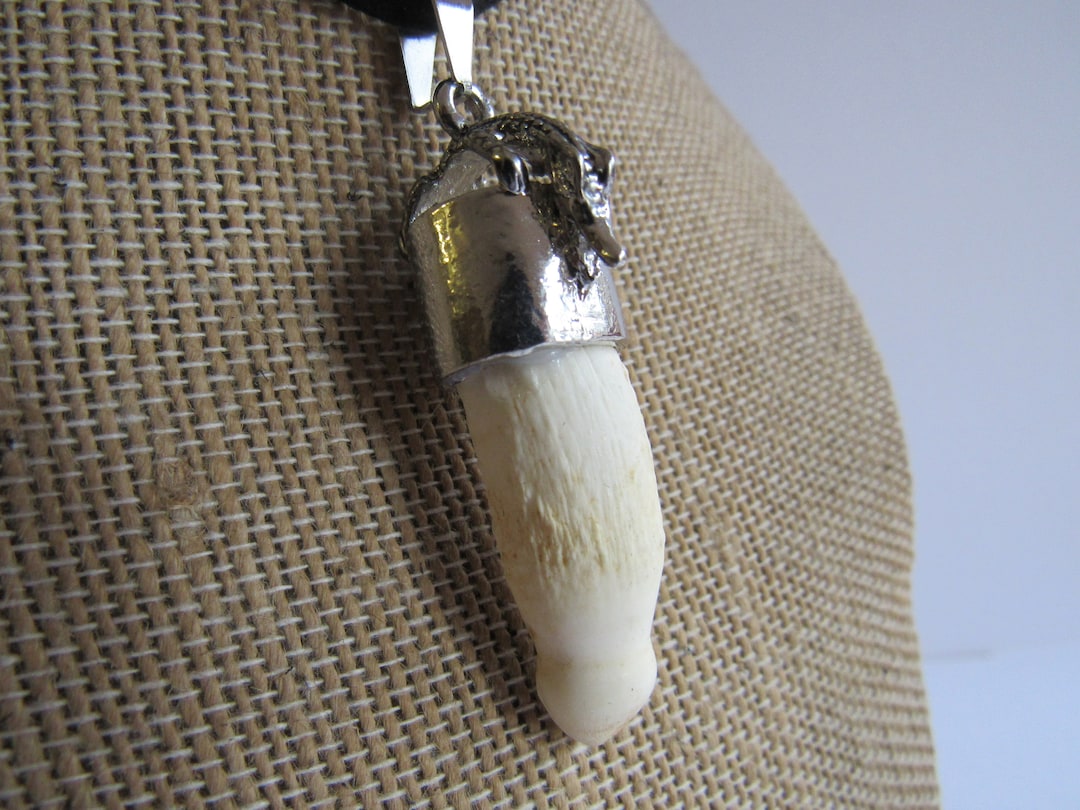Alligator Tooth Gator Pendant Animal Bone Leather Necklace Jewelry ...