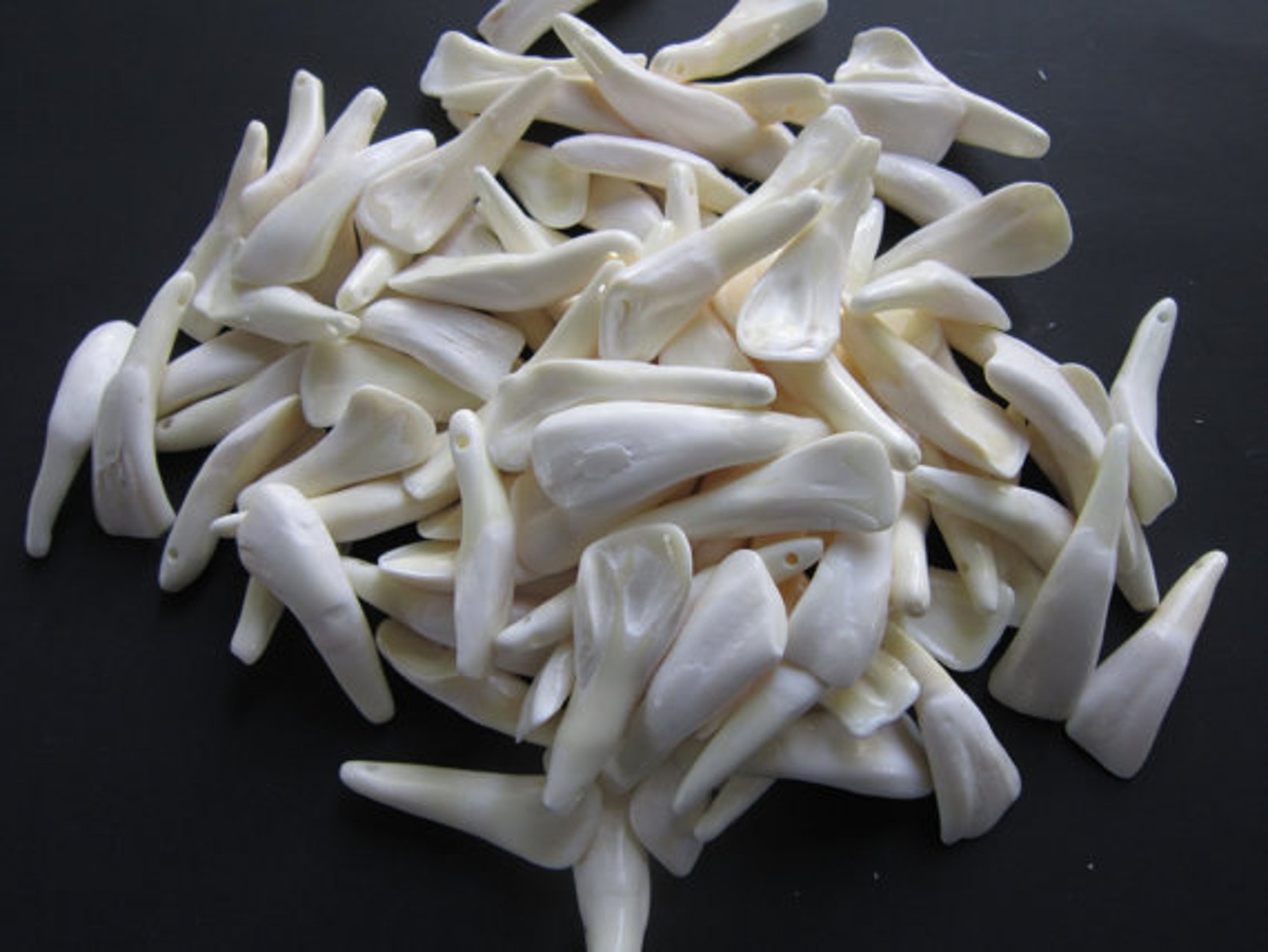 100 Buffalo Teeth Pre Drilled Ready for Jewelry and Craft Projects - Etsy