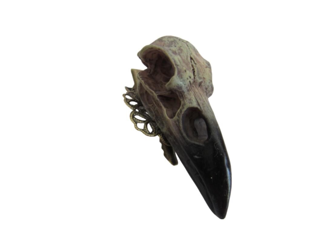Raven Skull Hair Barrett/clip Bird Skull Goth Raven Dark Hair Jewelry ...