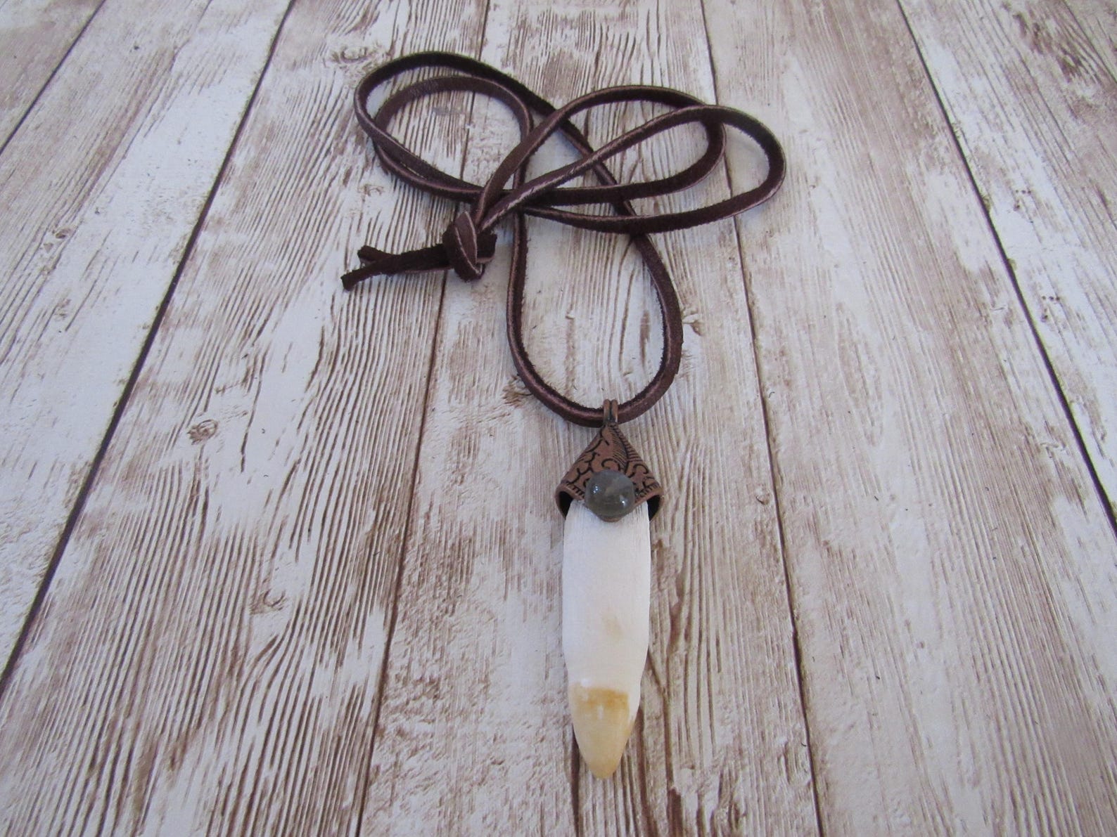 Alligator Tooth Gator Pendant Animal Bone Leather Necklace Jewelry ...