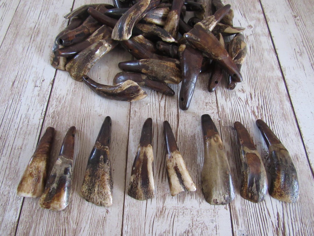 100 Antiqued Brown Buffalo Teeth Pre Drilled Ready for Jewelry and ...