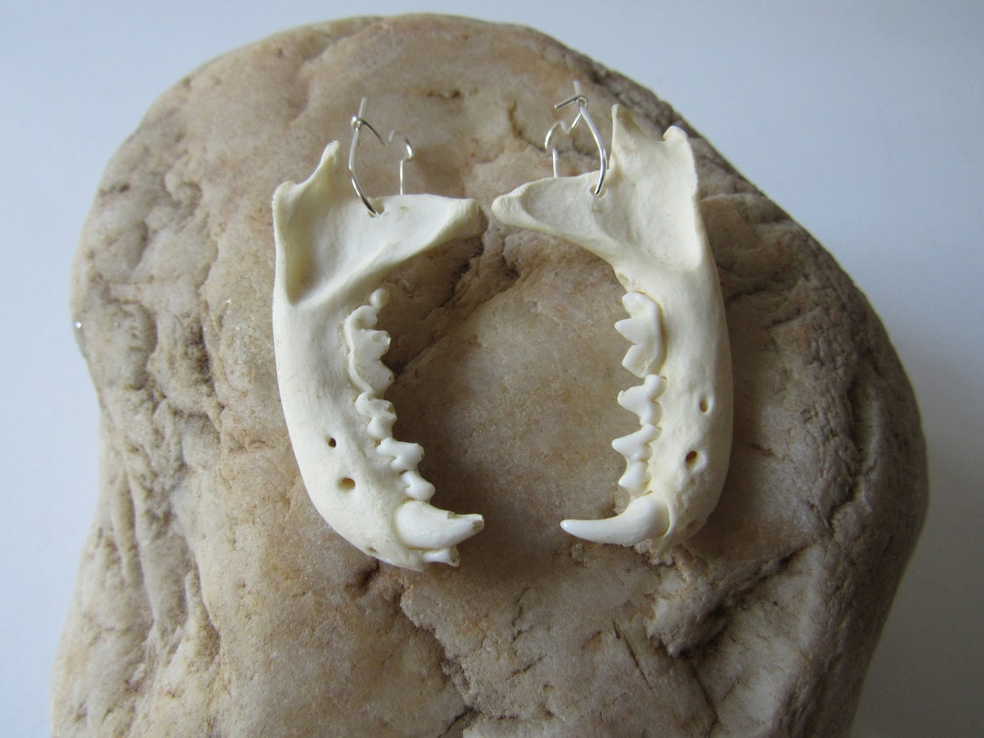 Mink Jawbone Earrings Spirit Jewelry Animal Bone Teeth Jewelry ...