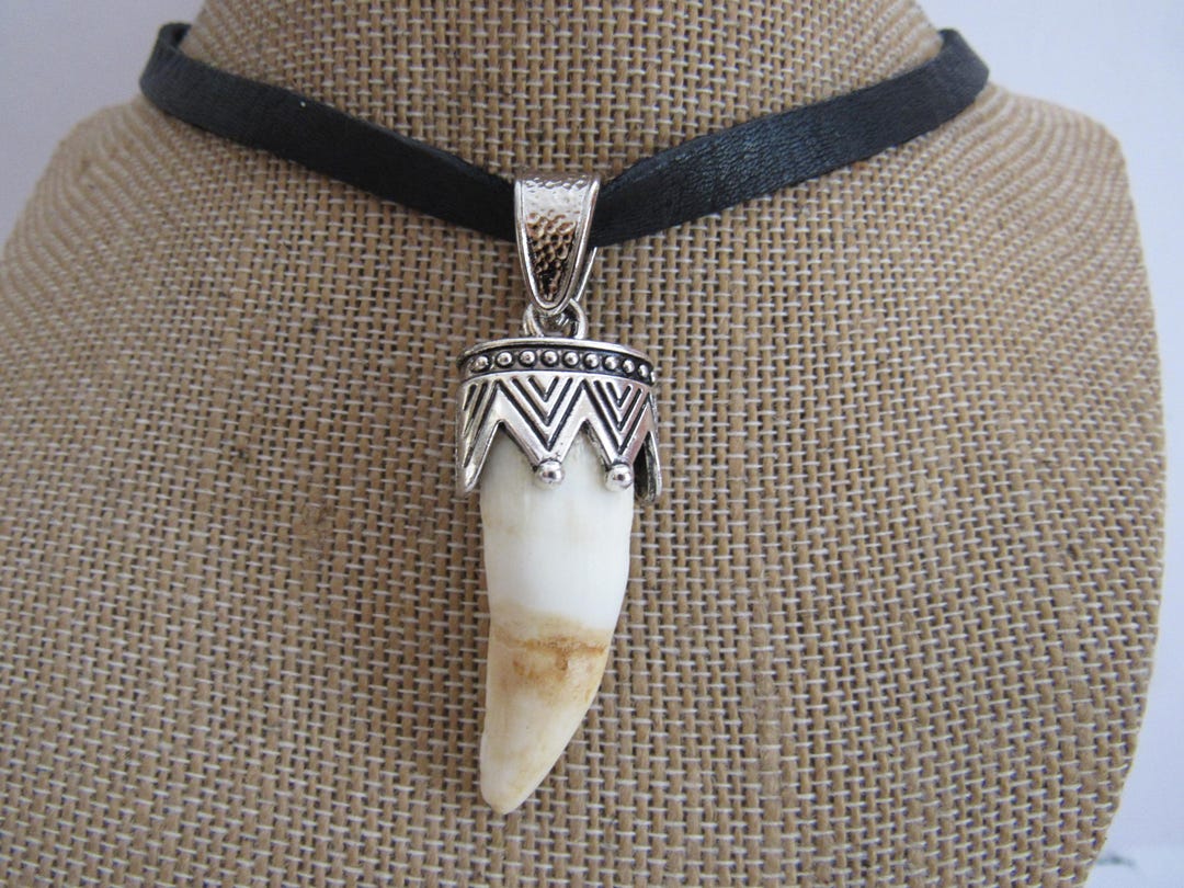 Alligator Tooth Gator Pendant Animal Bone Leather Necklace Jewelry ...