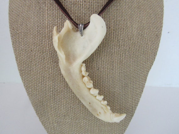 Badger Jawbone Pendant Buckskin Leather Necklace Animal Jaw | Etsy