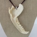 Badger Jawbone Pendant Buckskin Leather Necklace Animal Jaw Bone ...