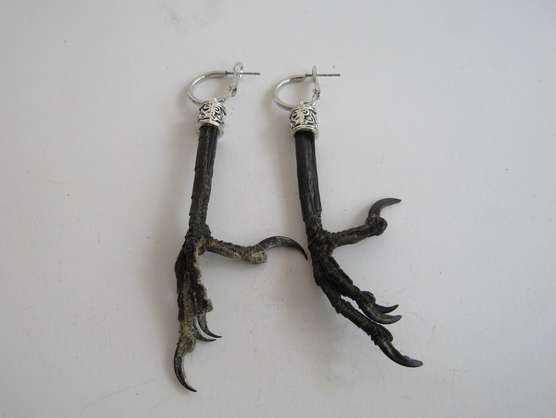 Real Crow Feet/talon Claw Earrings Bird Feet Animal Bone - Etsy