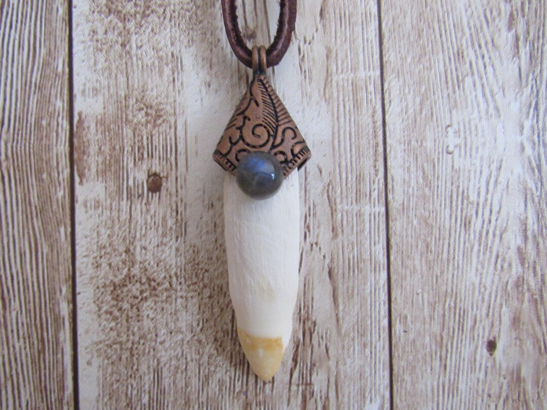 Alligator Tooth Gator Pendant Animal Bone Leather Necklace Jewelry ...