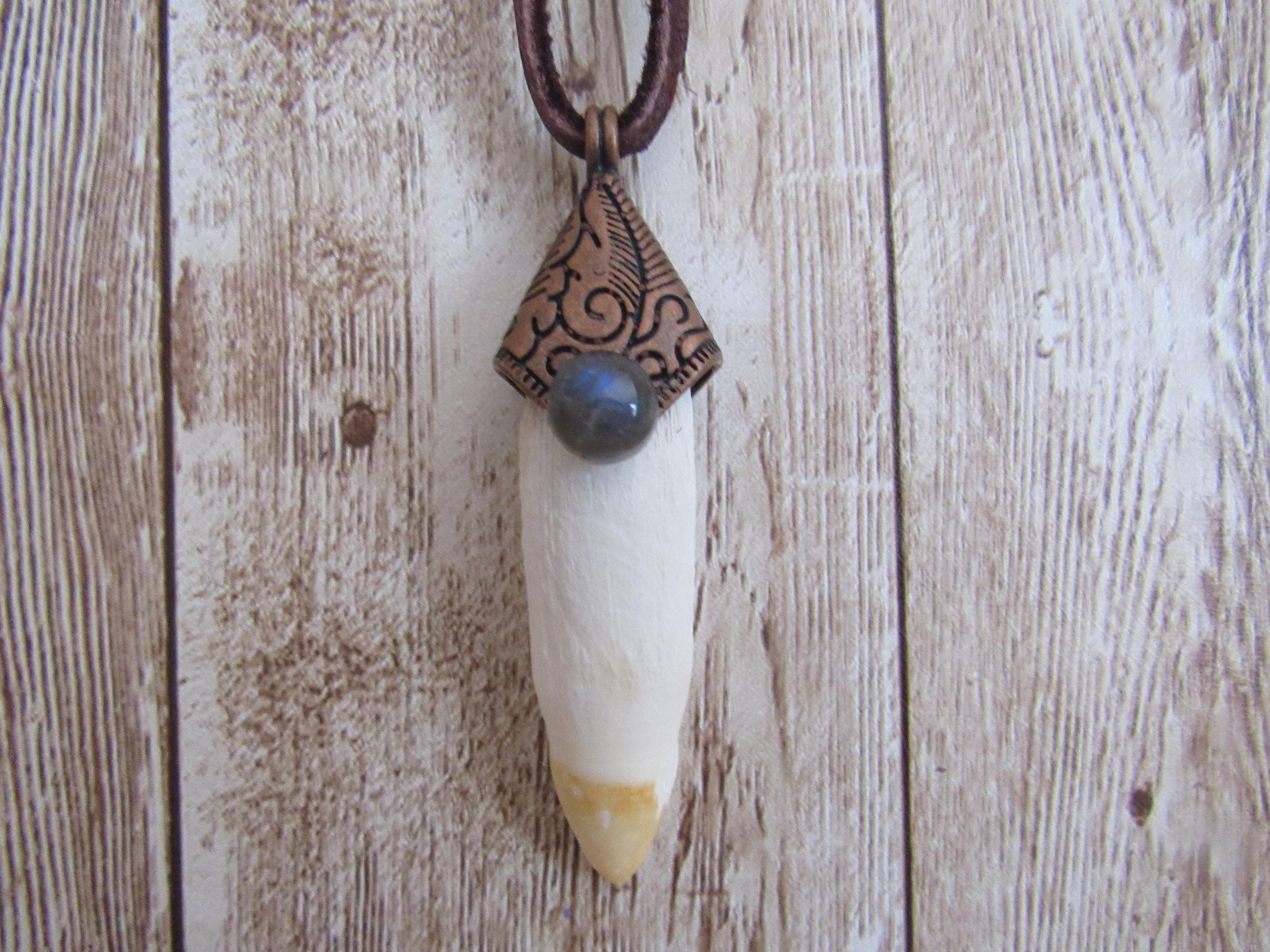 Alligator Tooth Gator Pendant Animal Bone Leather Necklace Jewelry ...