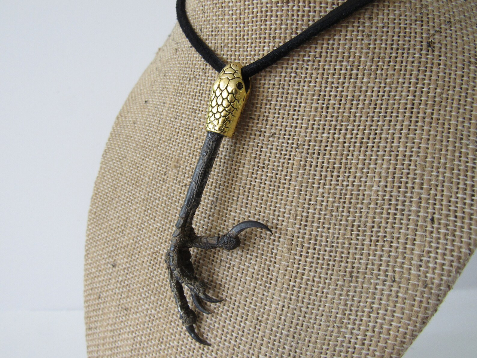 Real Crow Foot/talon Claw Necklace Snake Head Bird Feet Animal - Etsy