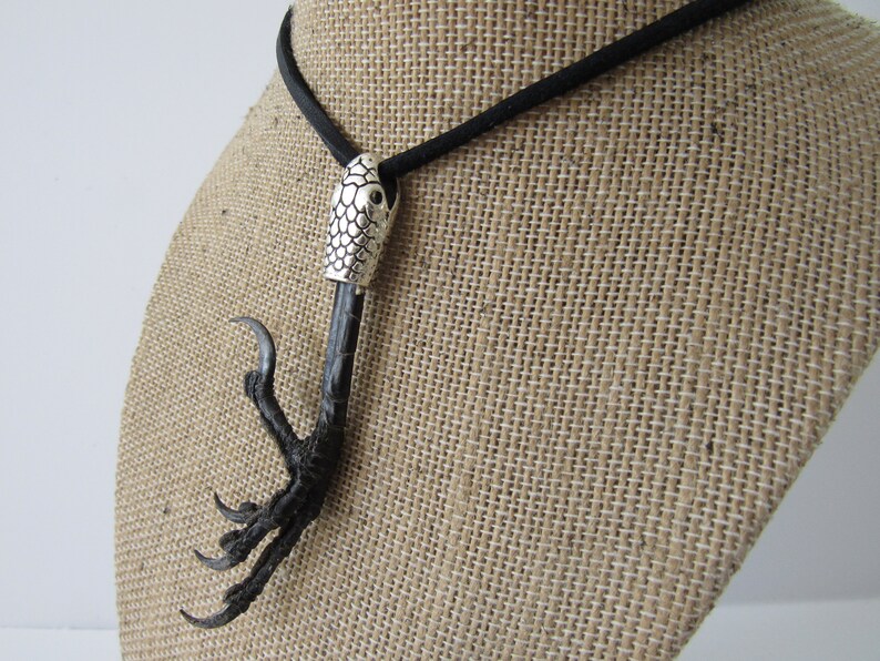 Real Crow Foot/talon Claw Necklace Snake Head Bird Feet Animal - Etsy