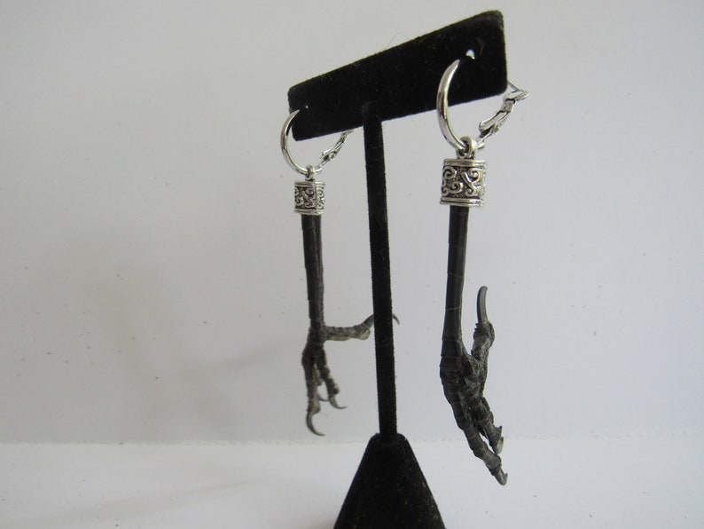 Real Crow Feet/talon Claw Earrings Bird Feet Animal Bone - Etsy