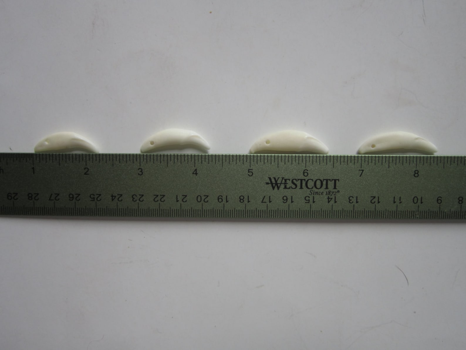 10 Coyote Teeth Fangs Canine Animal Teeth Pre-drilled Jewelry Beads ...