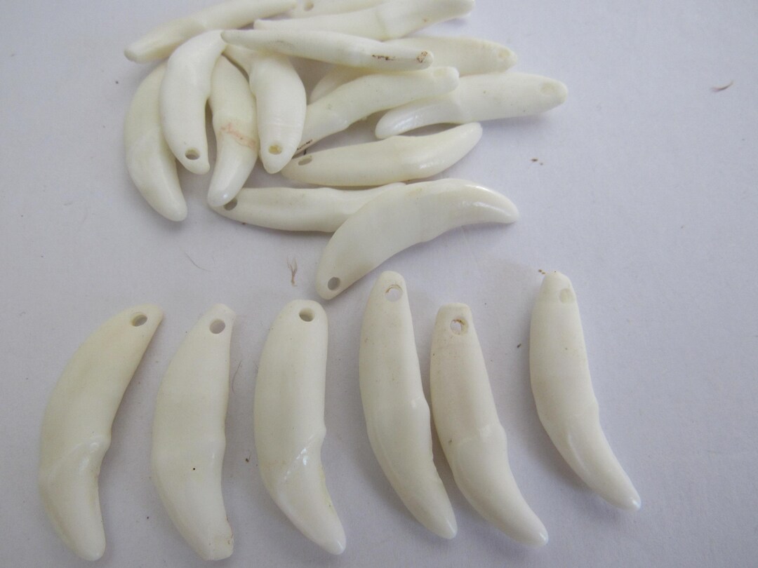 5 Fox Teeth Fangs Canine Animal Teeth Pre-drilled Jewelry Beads Craft ...