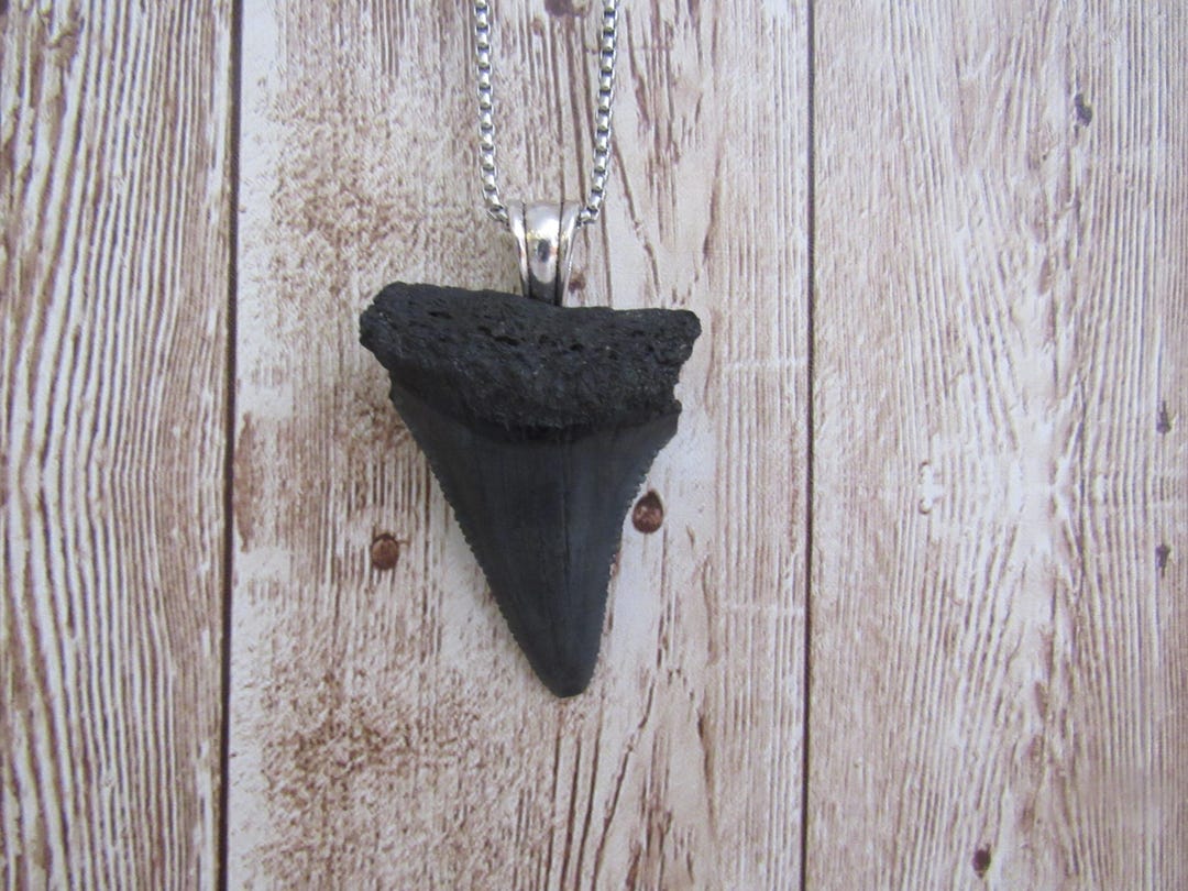 Great White Shark Tooth Pendant Animal Bone Necklace Fossilized Bone ...