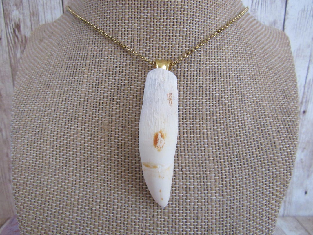 Alligator Tooth Gator Pendant Animal Bone Necklace Jewelry Statement ...