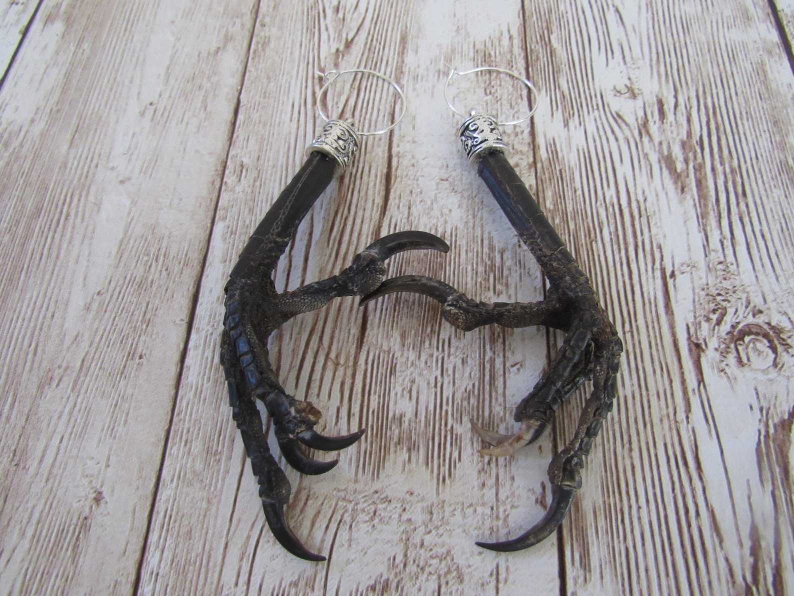 Real Crow Feet/talon Claw Earrings Bird Feet Animal Bone Jewelry - Etsy