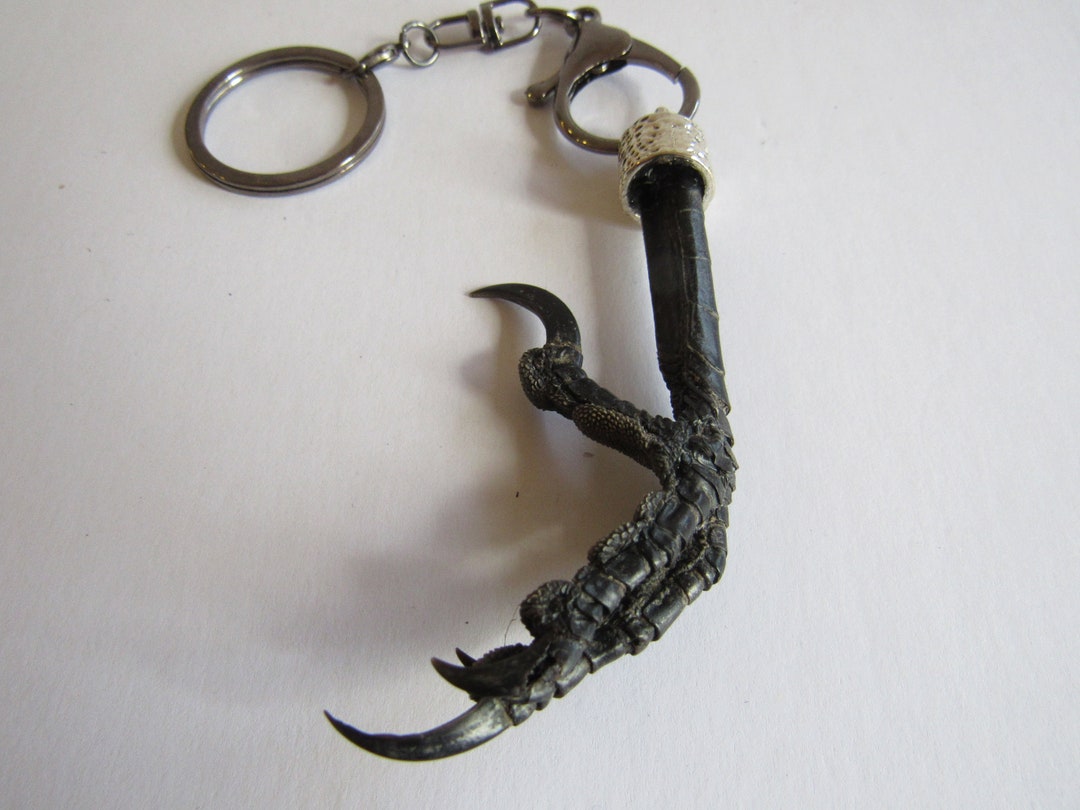 Real Crow Foot/talon Claw Keychain Bird Feet Animal Bone Jewelry N4511 ...