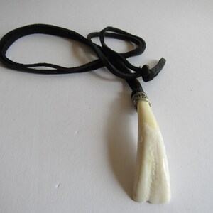 Buffalo Tooth Pendant Animal Tooth Necklace Tribal Spirit Animal ...