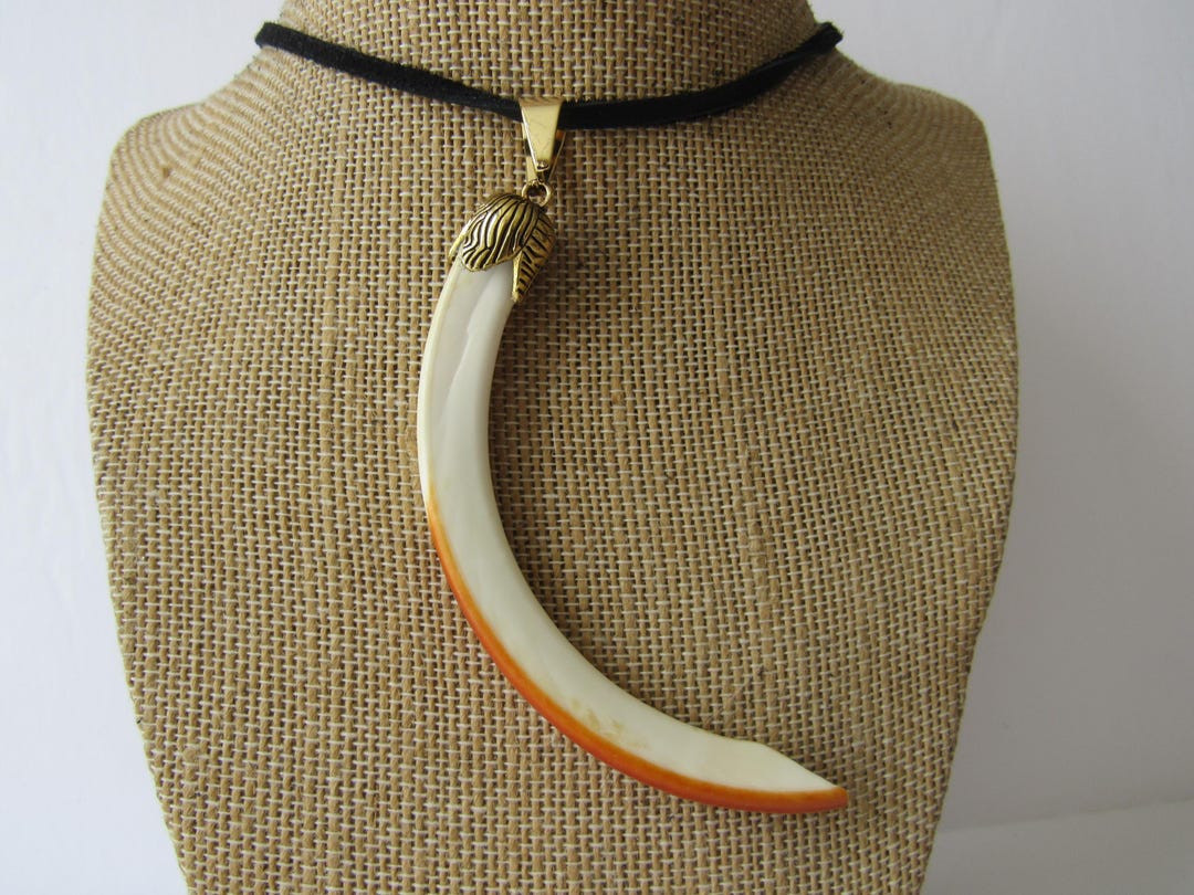 Beaver Tooth Pendant Necklace Leather Animal Bone Teeth Jewelry N5325 ...
