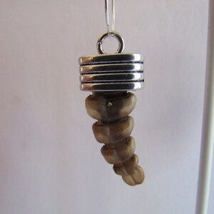 Rattlesnake Rattler Tail & Rib Bone Earrings Jewelry Snake Spirit ...