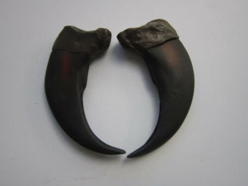 2 Grizzly Bear Claws 3 1/2 Synthetic Resin Replica - Etsy