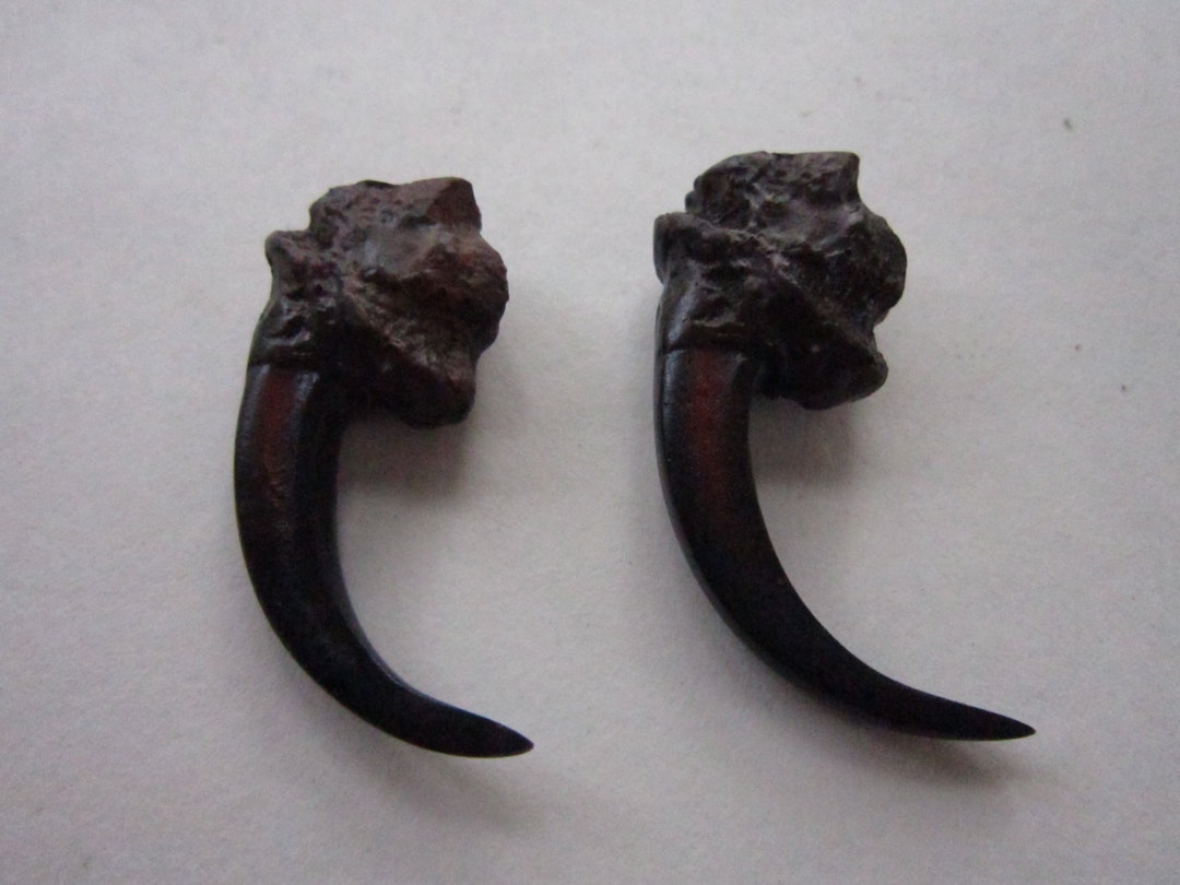 2 Eagle Talon Eagle Claws 2" Resin Replica Jewelry and Craft Supplies ...