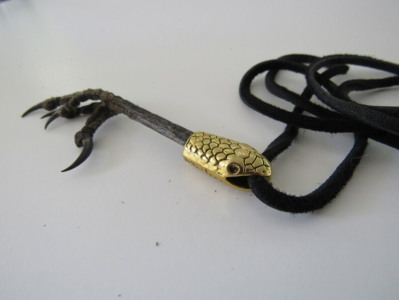 Real Crow Foot/talon Claw Necklace Snake Head Bird Feet Animal - Etsy