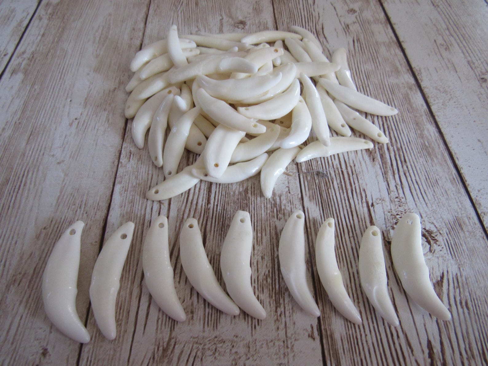 10 Coyote Teeth Fangs Canine Animal Teeth Pre-drilled Jewelry Beads ...