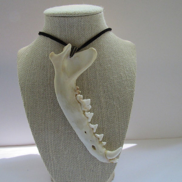 Animal Bone Jewelry - Etsy