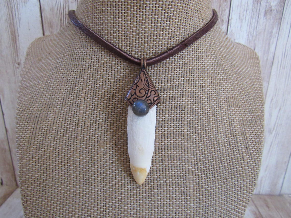 Alligator Tooth Gator Pendant Animal Bone Leather Necklace Jewelry ...