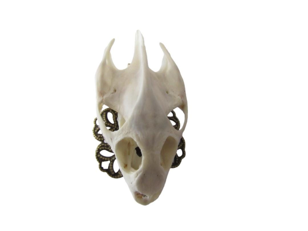 Red Slider Turtle Skull Top Hair Barrett/clip Animal Bone Jewelry N5045 ...