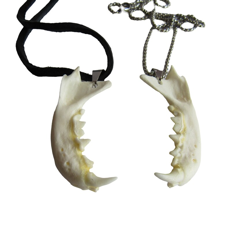 Bone Jewelry - Etsy