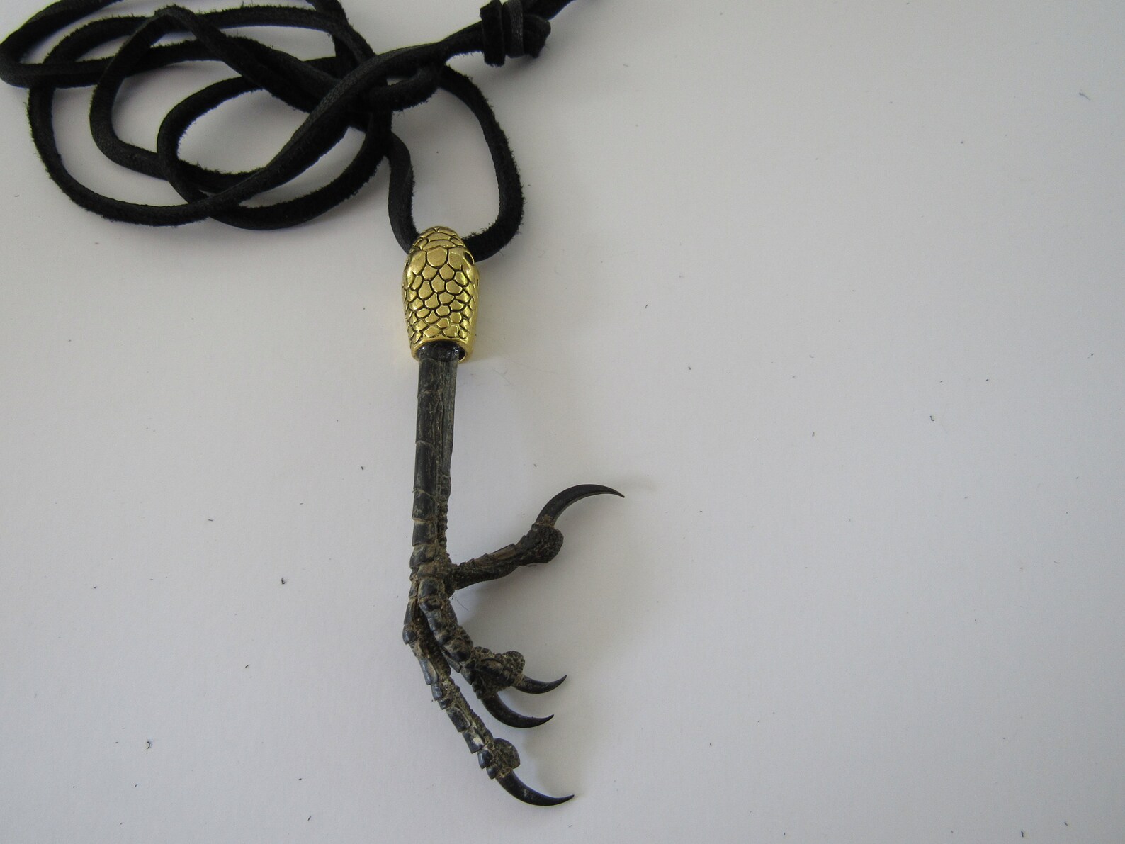 Real Crow Foot/talon Claw Necklace Snake Head Bird Feet Animal - Etsy