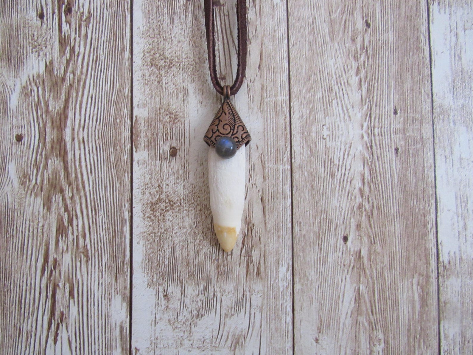 Alligator Tooth Gator Pendant Animal Bone Leather Necklace Jewelry ...