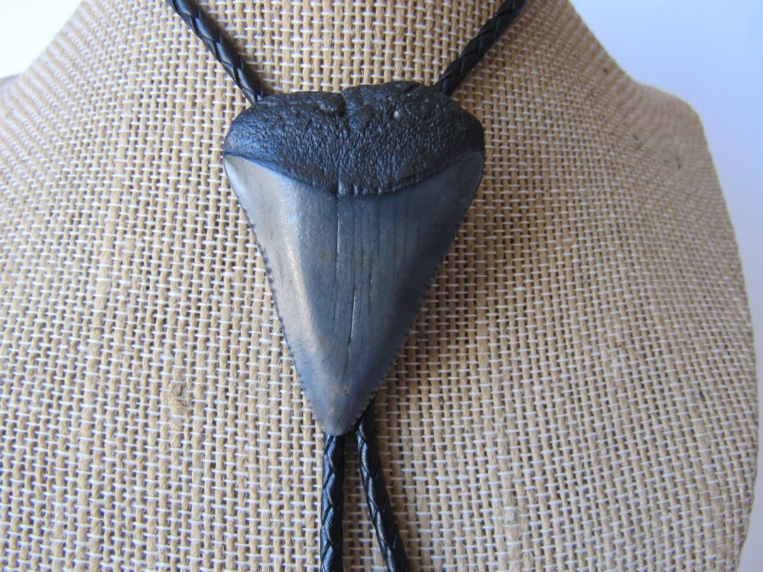 Real Great White Shark Tooth Bolo Tie Necklace Wedding Gothic Bone ...